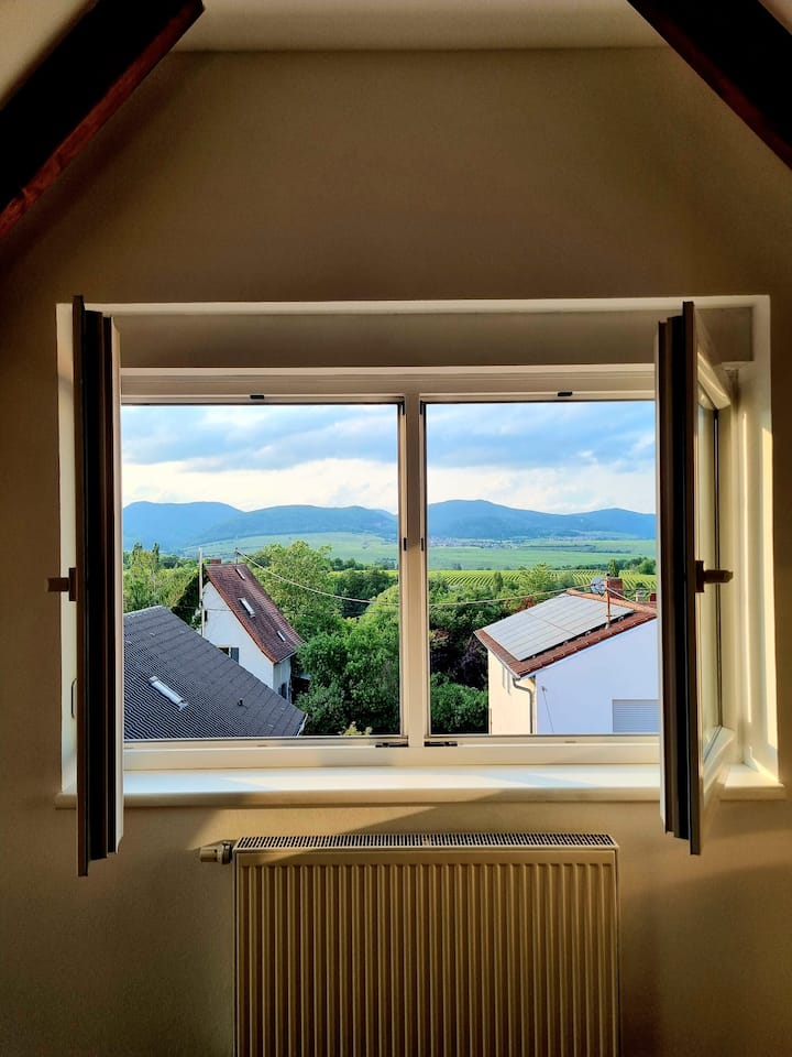 Weitblick Pfalz - Landau
