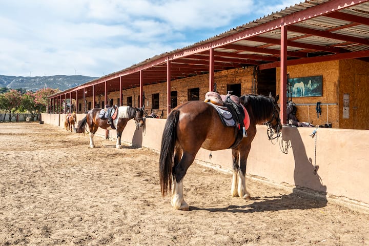 Horse Farm House - 5 Min To The Beach - Kos