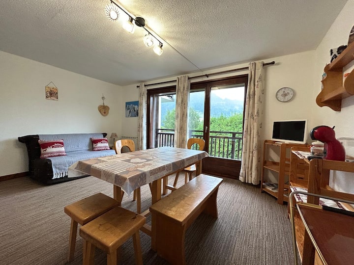 Appartement Vue Montagne à 500m Des Pistes - Praz-sur-Arly