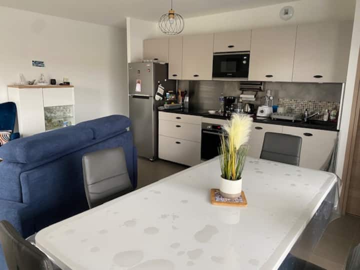 Appartement - Publier à 200m Du Lac - Évian-les-Bains