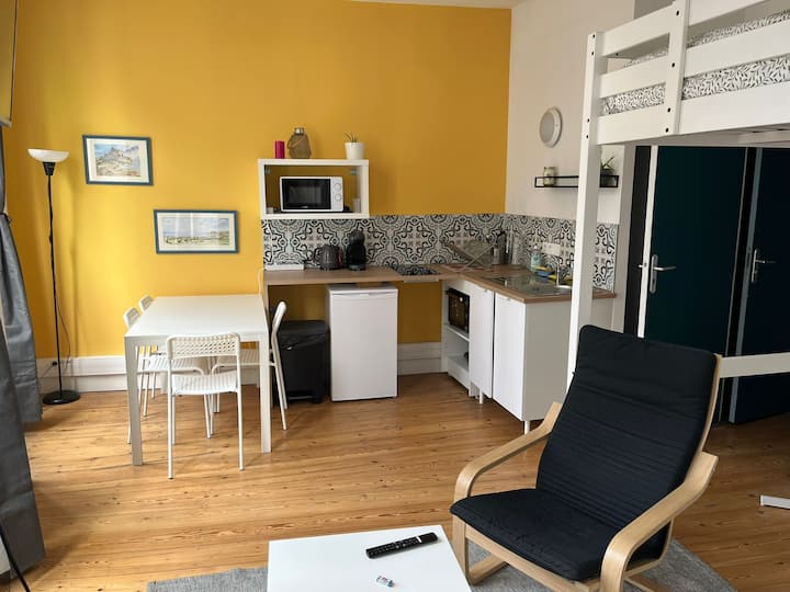 Joli Studio Lille St-maurice Pellevoisin - 릴