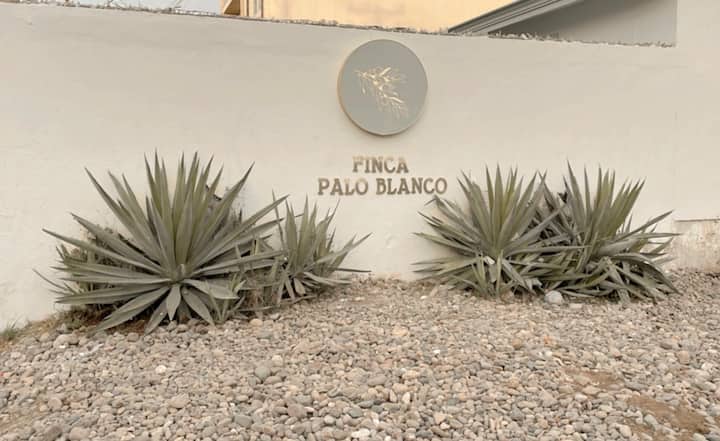 Hermosa Casa En Mazatlán - 