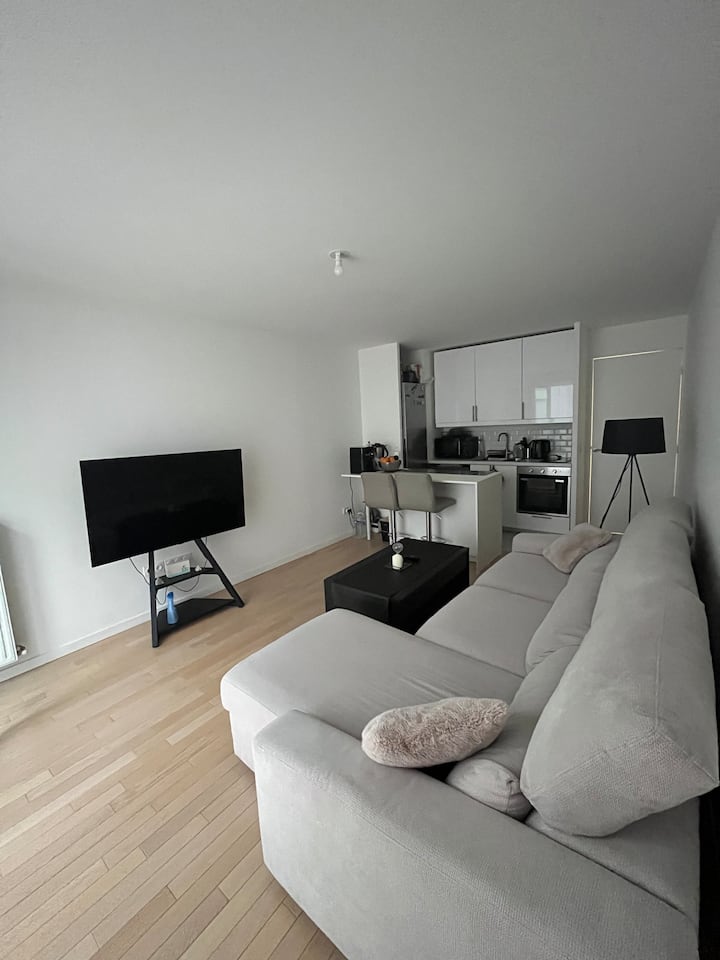 Appartement Cosy Alfortville - Alfortville