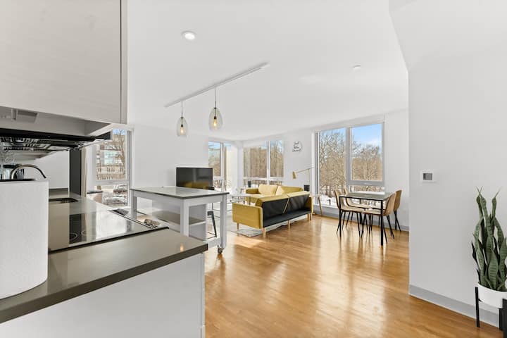 Luxury 3 Br 2 Ba Jamica Pond Boston Hospitals - Newton, MA