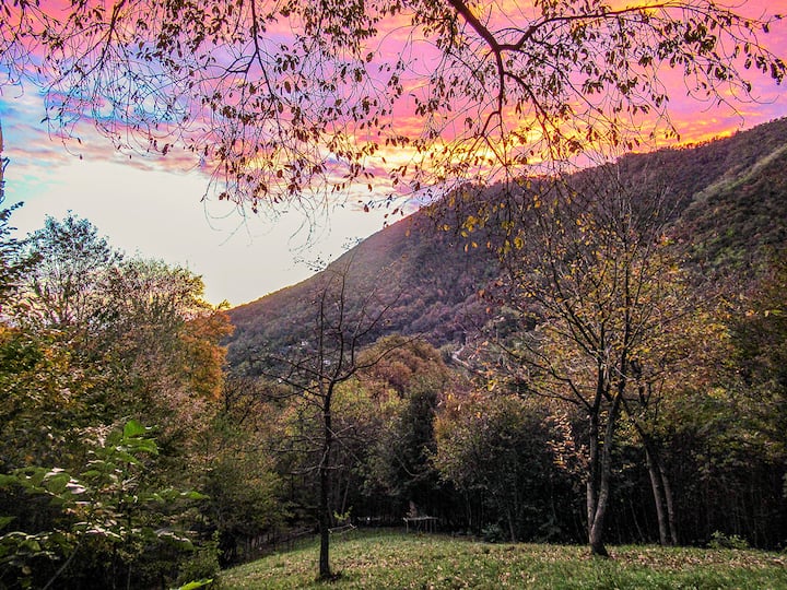 Camera Con Sauna In Agriturismo Immerso Nel Bosco - Feltre