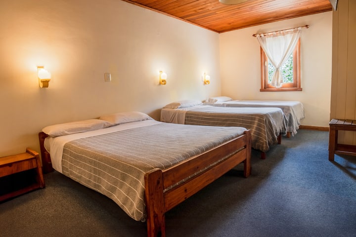 Cálido Hotel De Estilo Montañés. - San Martín de los Andes