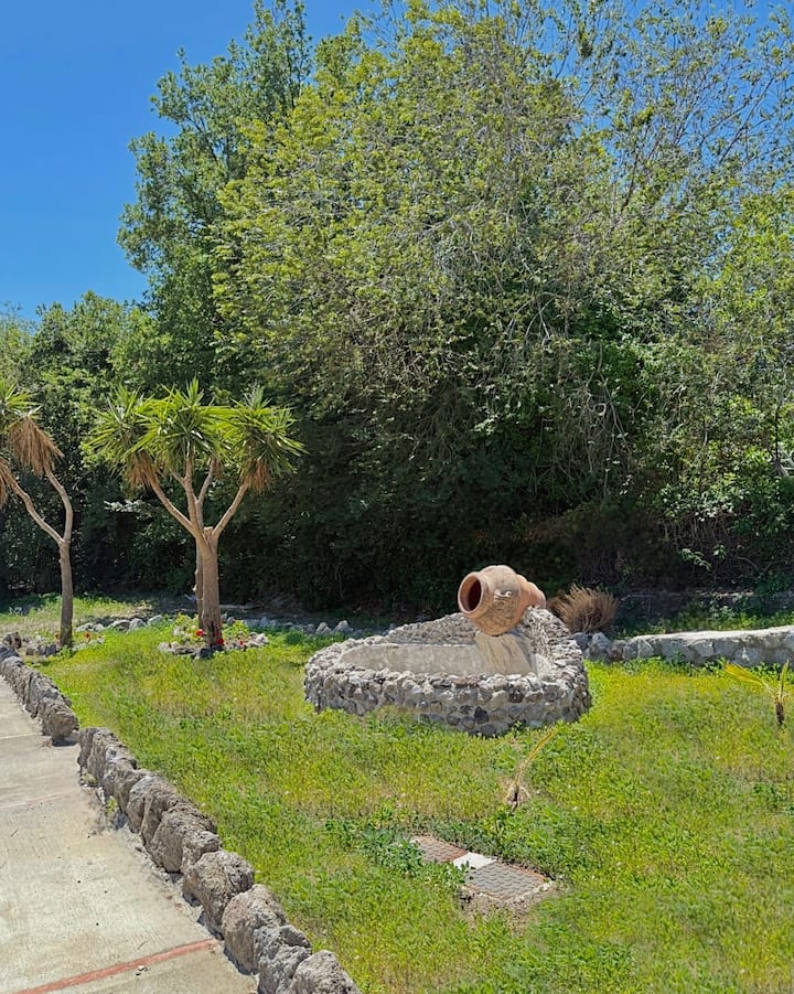 Pompelmo - Ischia Porto