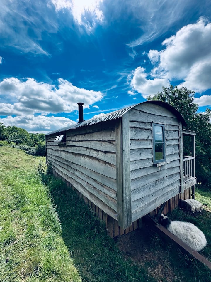 Rural Bliss @ Tawny Owl Cabin - Glastonbury