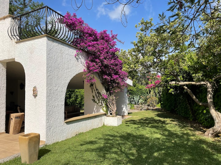 La Dolce Villa 
A Charming Mediterranean Place - Castellabate