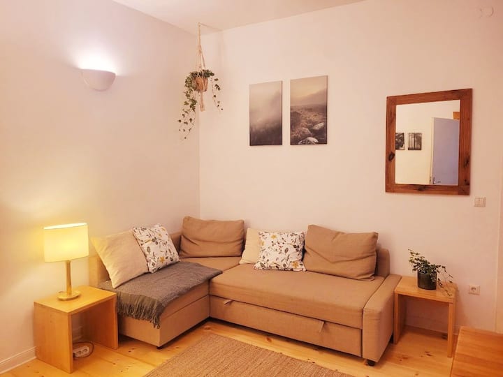 Ruhige Wohnung In Berlin Mitte - Berlin