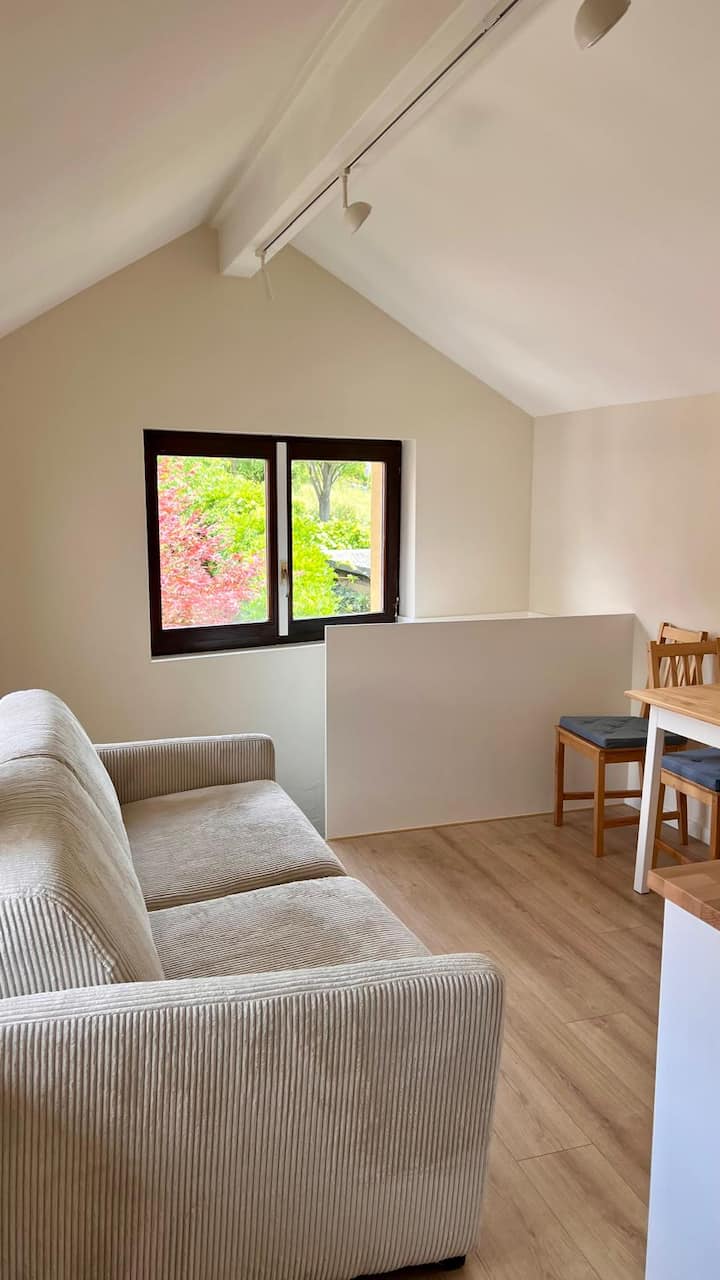 Mini-duplex De Charme à Bussigny-près-lausanne - Renens