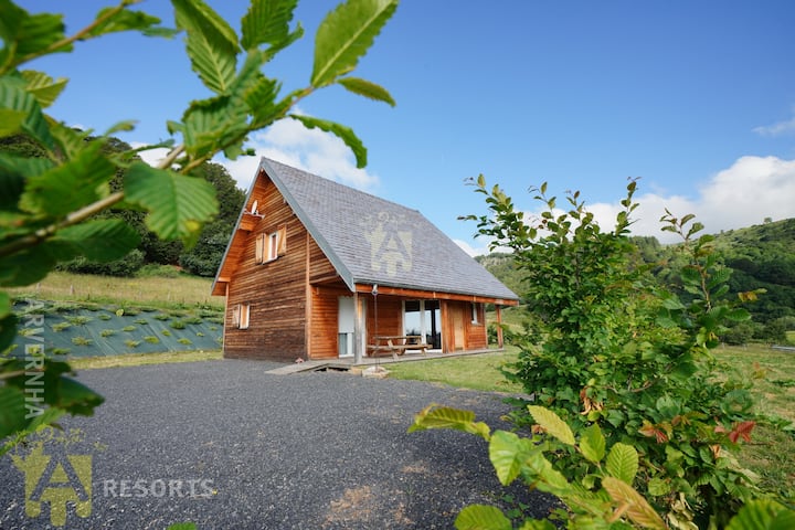 Chalet Dragon - Besse-et-Saint-Anastaise