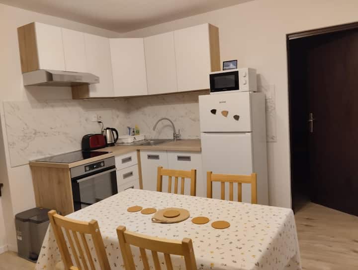 Big Apartman In Centar Rovigno! - Rovigno