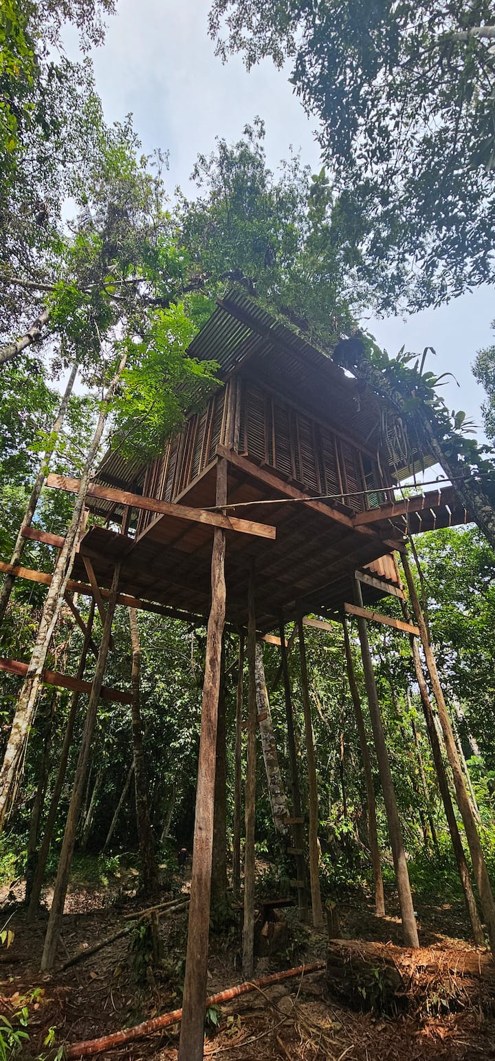 Casa Del áRbol - Balcón Del Tacana - Tabatinga