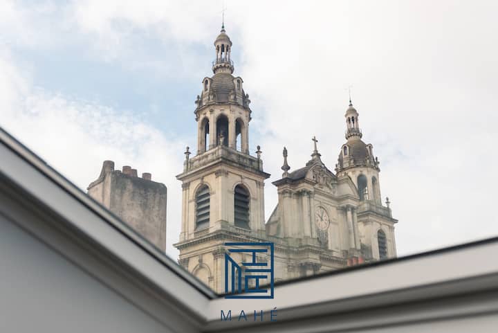 Cathédrale – Sous Les Toits De Nancy - Nancy