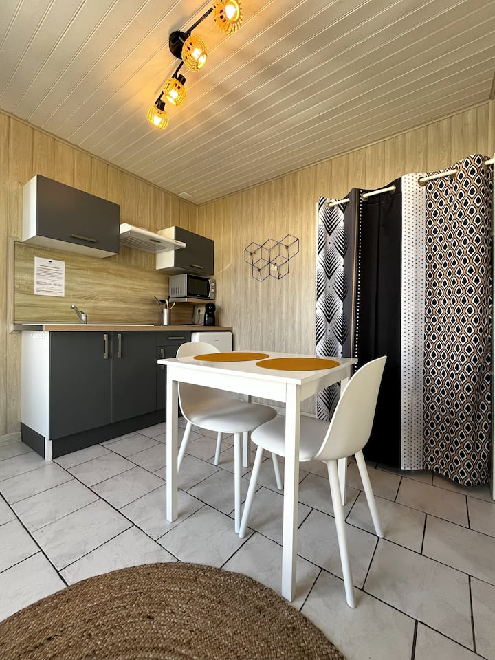Studio Duo 2, Terrasse, Piscine, Wifi, Tv - La Palmyre