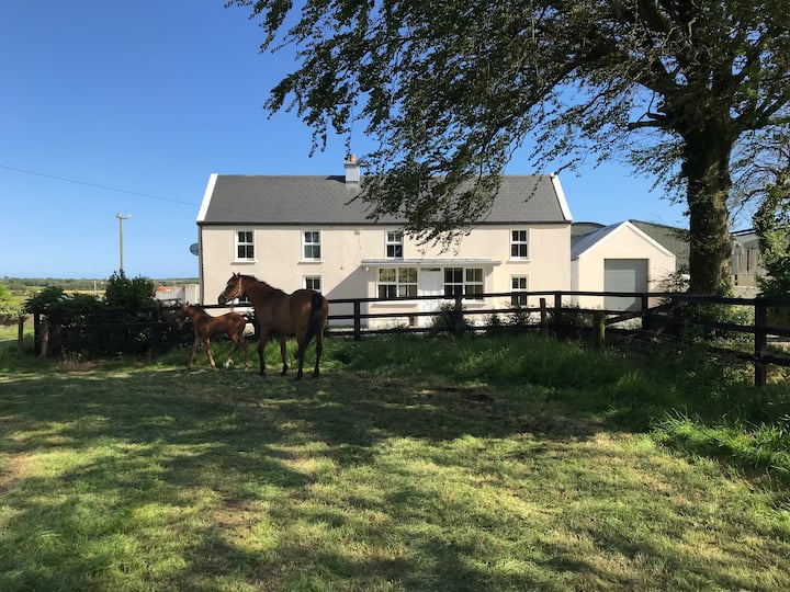 The Avenue Farmhouse - Waterford