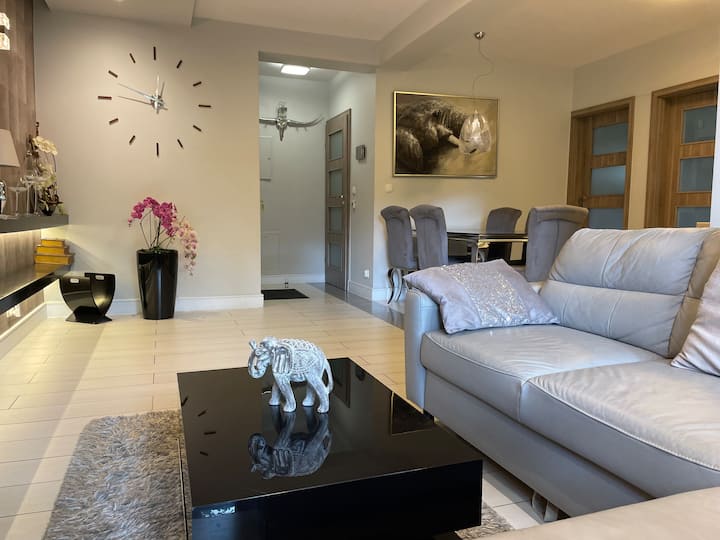 Safari W Centrum Zakopanego - Zakopane