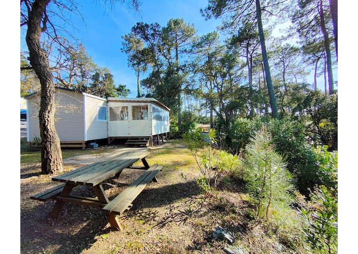 Mobil-home (Clim, Tv, Lv) Camping Les Oyats 4* - Seignosse