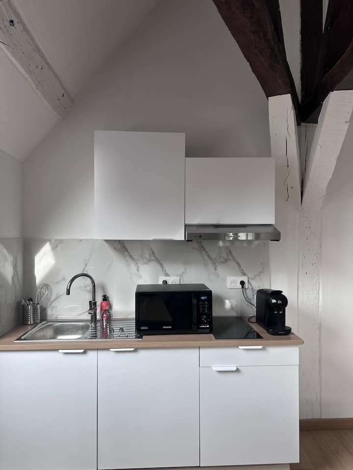 Luxe Modern I Centre Châtelet - Orleans