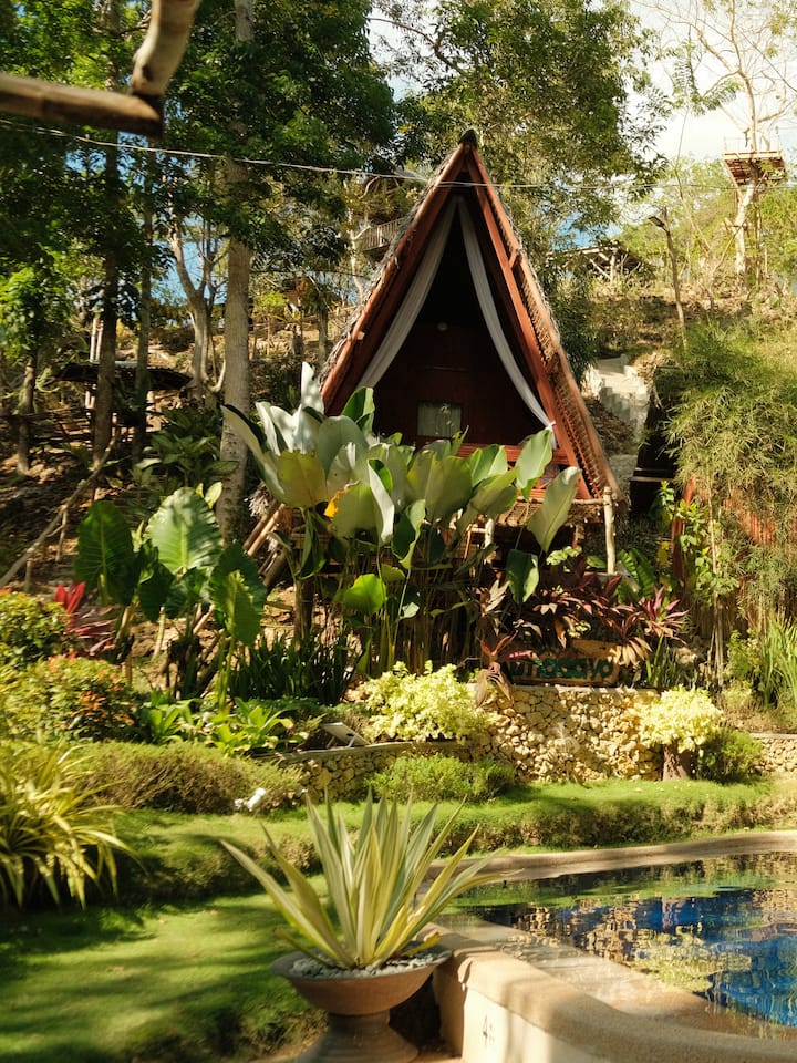 Lumadayo Hillside - Zinnia - Loay