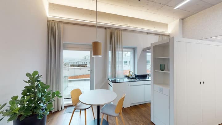 Premium Loft W/ Rooftop Terrace - Zúrich