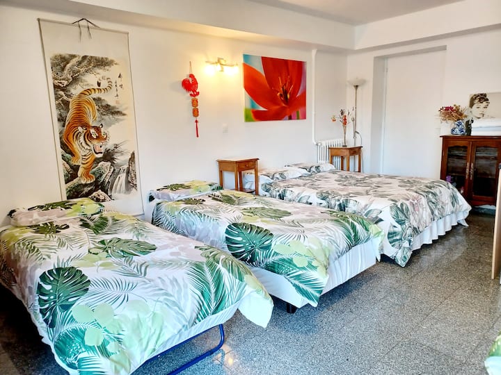 Studio Familial Clim Parking Terrasse 600m Rer B - Sceaux