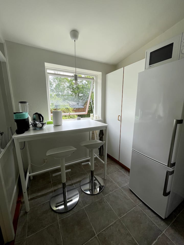 *Students Only*
Bright Study Oasis - Odense