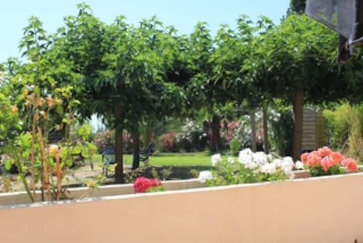 Logement Les Pieds Dans L'eau - Cargèse