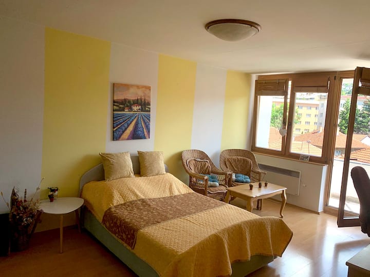 Chic Studio With Free Parking - Sarajevo