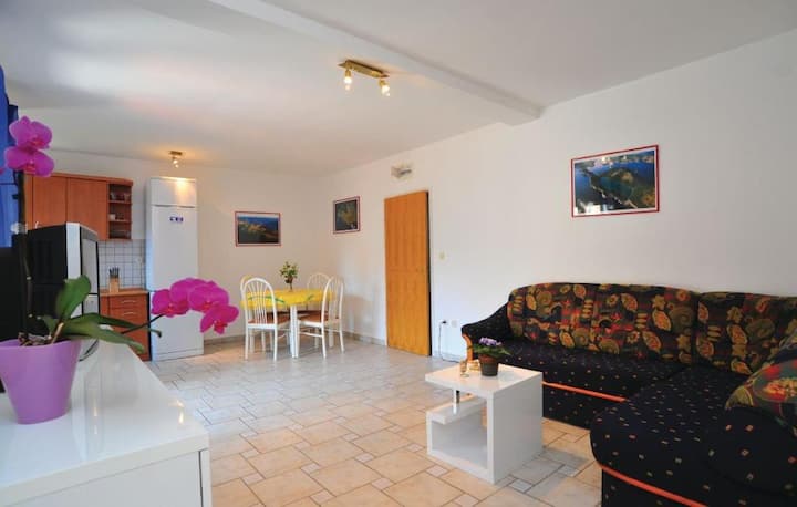 Apartman  Jadranko-murter - Betina