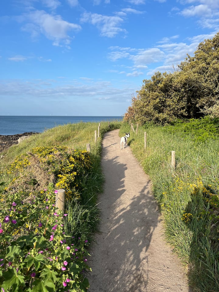Amoureux De La Mer, De La Nature Ou Du Sport! - Le Croisic