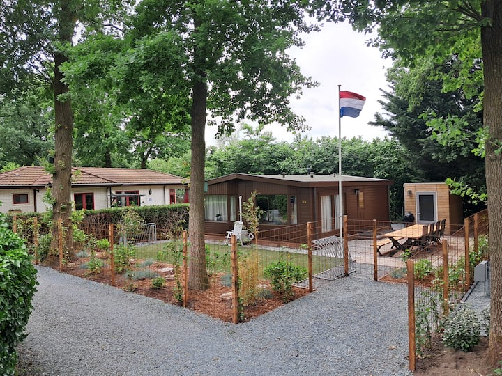 De Uitblinker Op De Veluwe - Putten