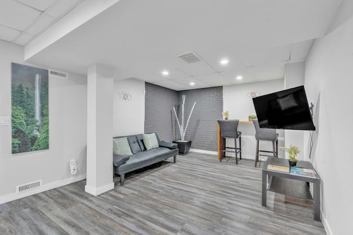 Luxury Basement Prime Location - Winnipeg