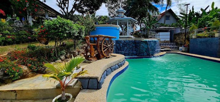 The Paradise -