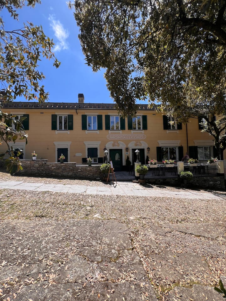 Hotel Montallegro - Rapallo