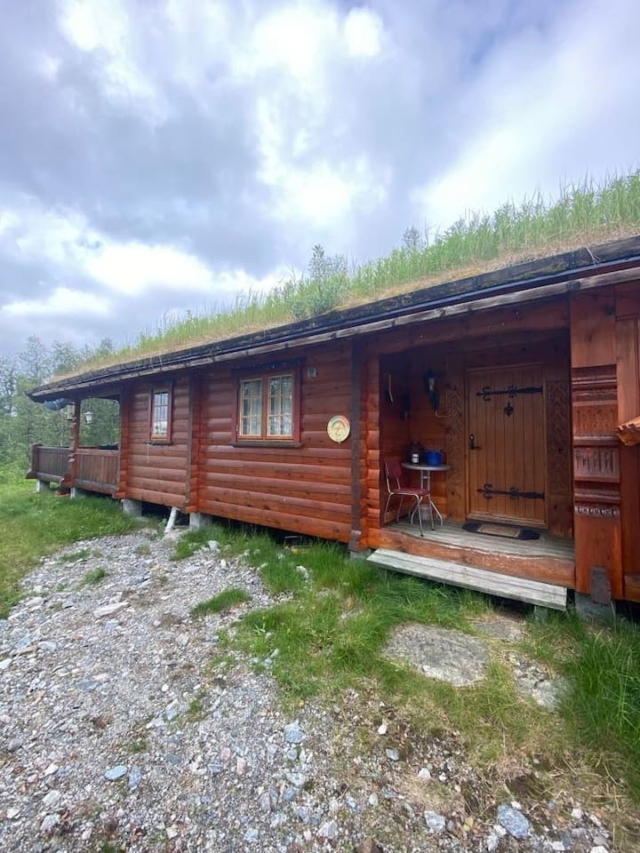 Fjellhytte På Vågslid - Haukeli