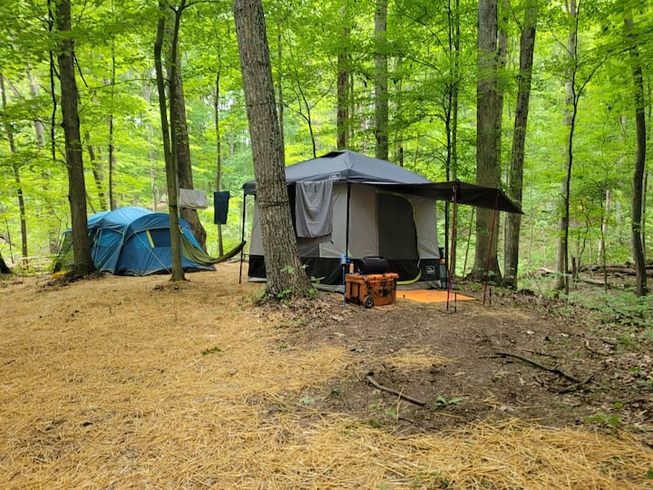 Firefly Forest: Tent Site #2 - Athens, OH