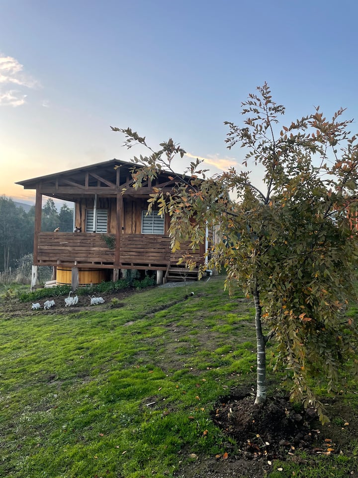 Cabañas En El Campo - Angol