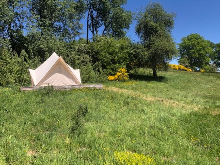 Back To Basic Camp - Bouillon