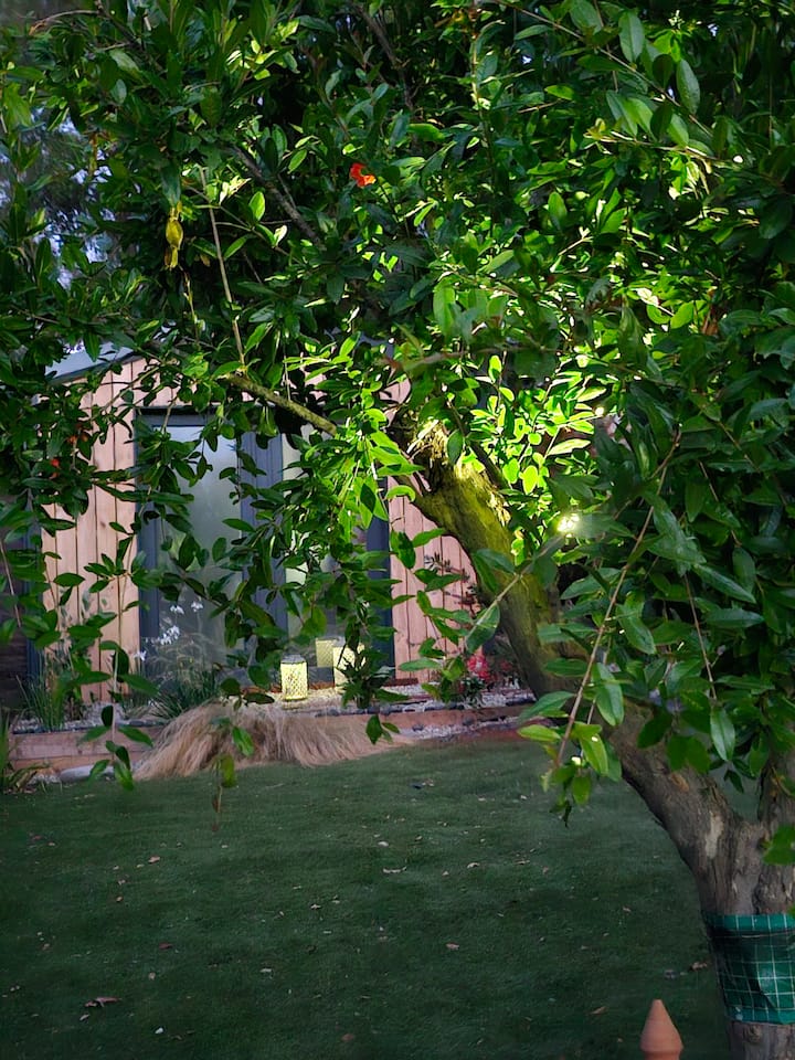 Le Cabanon De Casaoma
Suite Slow_life - Corsica