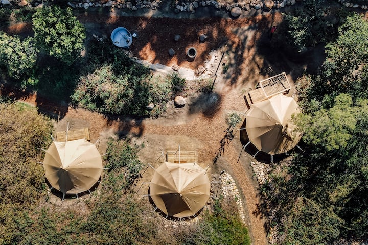 Water Berry Camp - Ceres