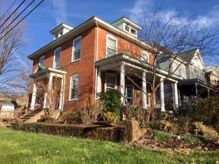 Historic Downtown Belmont Special  Two Room Offer! - Charlottesville, VA