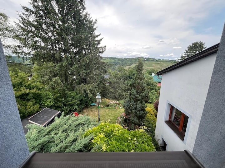 Small Flat In Weidling Near Vienna - Klosterneuburg
