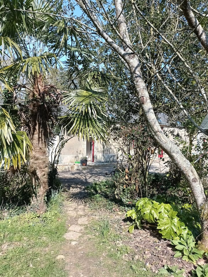Location à La Campagne - Morbihan