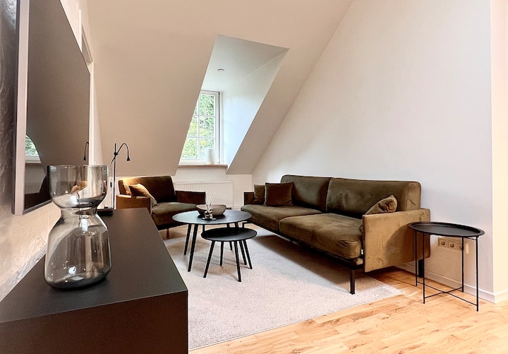 Superior 2 Bedroom Apartment (2) - Vilnius