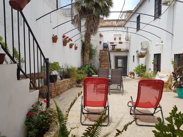 Palmera Home - Córdoba