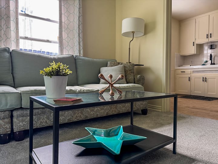 Tranquil 1bd/1ba - Best Downtown Ro Loc Airbnb #2 - Royal Oak, MI