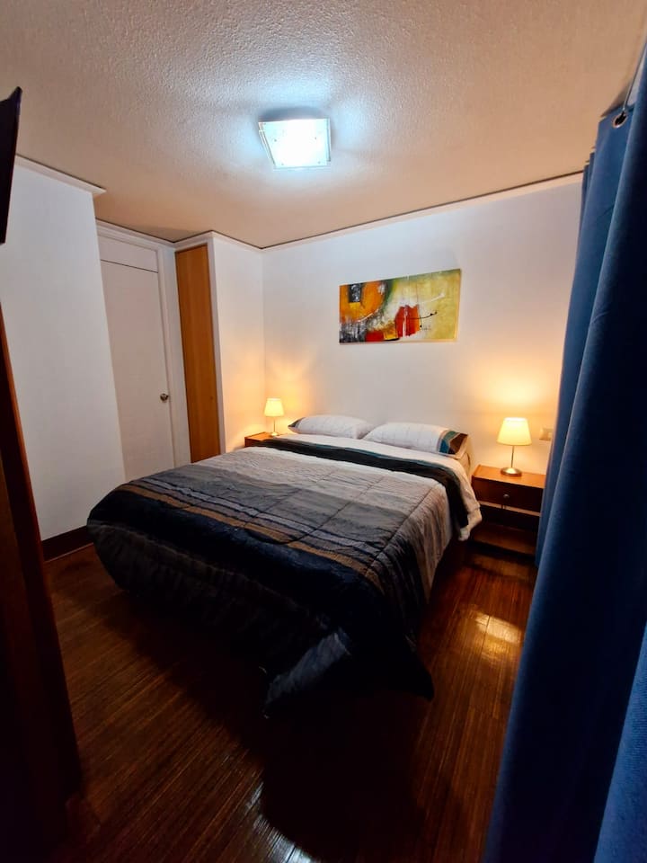 Ubicado En El Corazón De Sntiago - Santiago