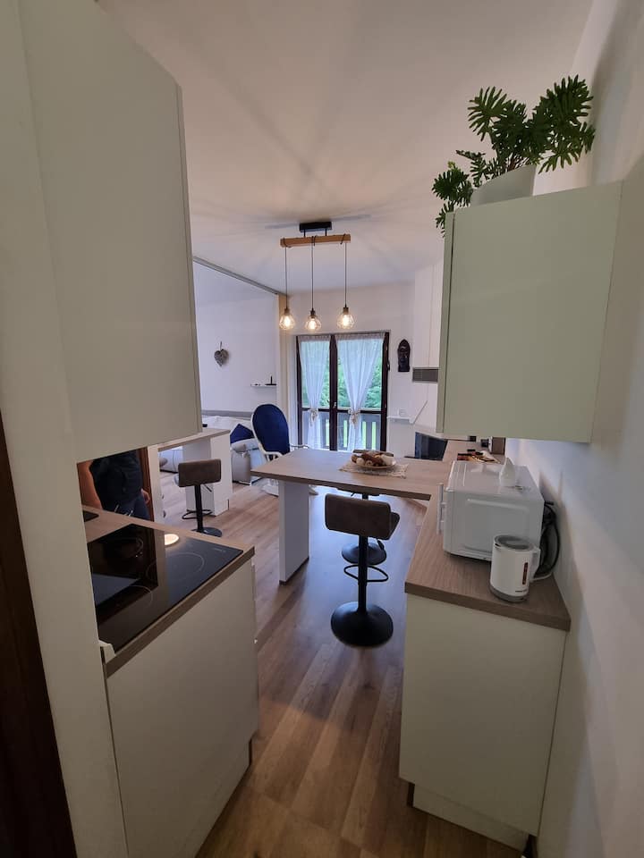 La Casa Degli Sbilfs - Ravascletto